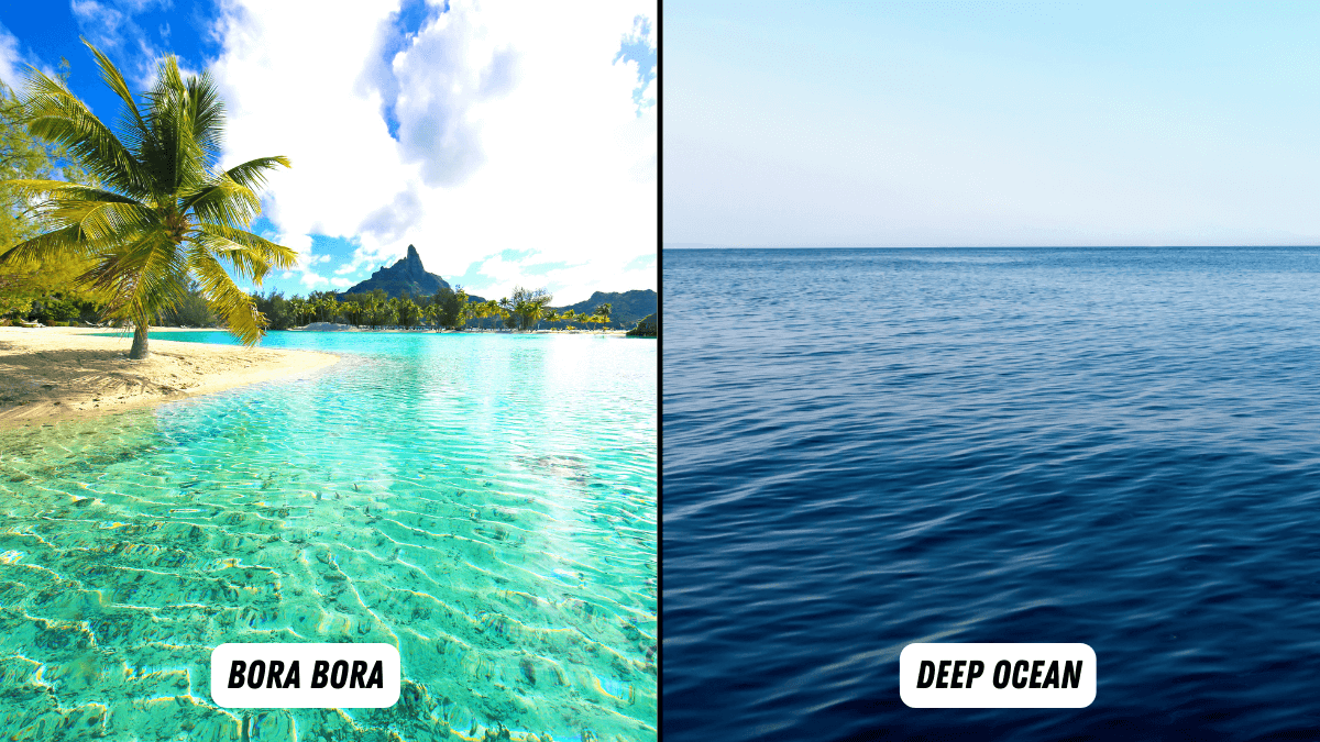 Why Is The Water In Bora Bora So Clear & So Blue?