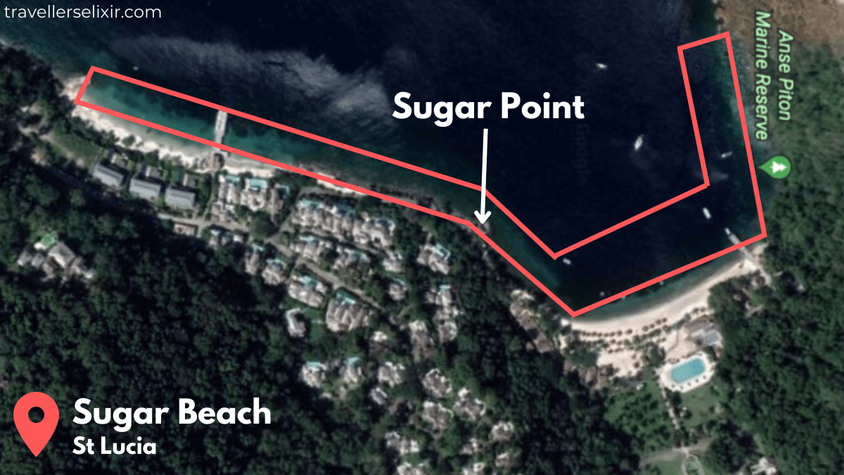 Sugar Beach St Lucia Snorkeling Guide - Everything You Need To Know