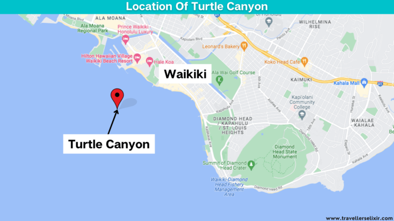 Where To See Turtles In Waikiki - Complete Guide