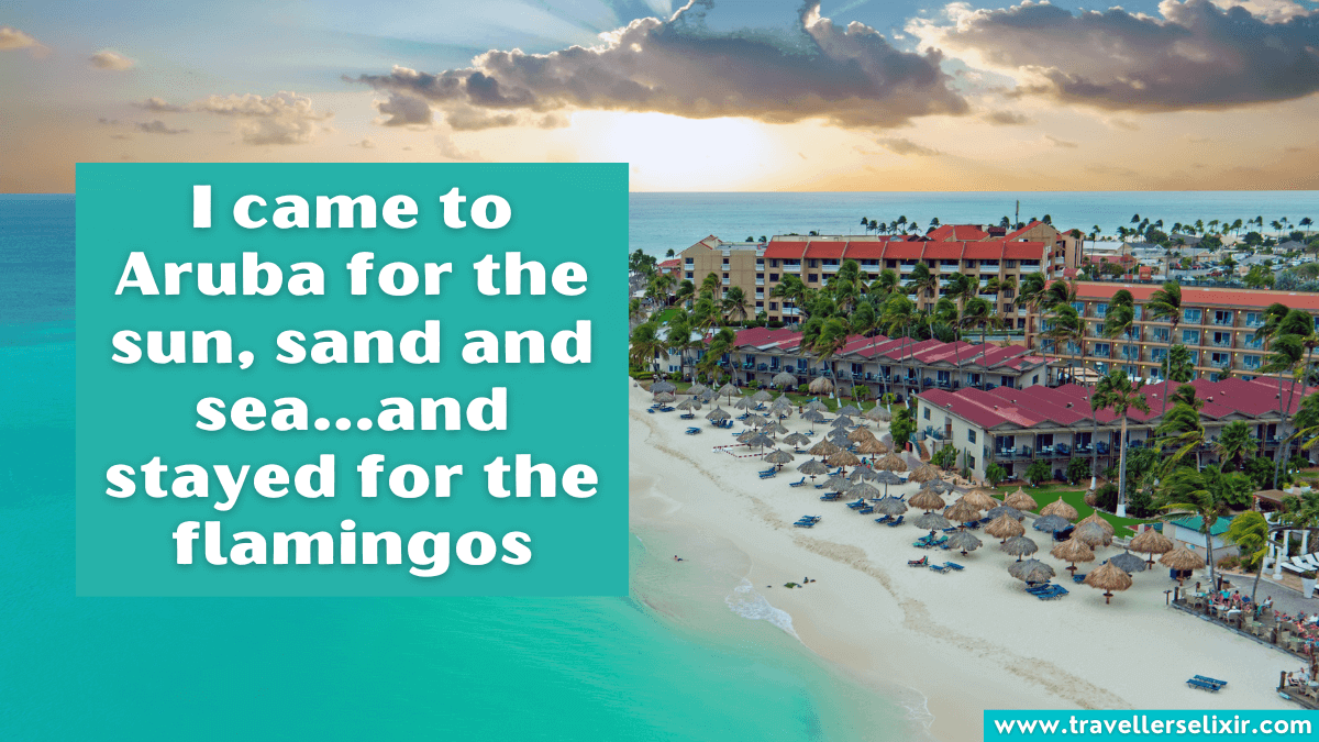 131 Aruba Captions For Instagram - Puns, Quotes & Short Captions