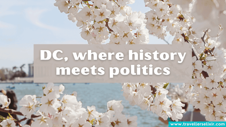 103 Washington DC Captions For Instagram - Puns, Quotes & Short Captions