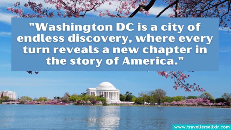 103 Washington DC Captions For Instagram - Puns, Quotes & Short Captions