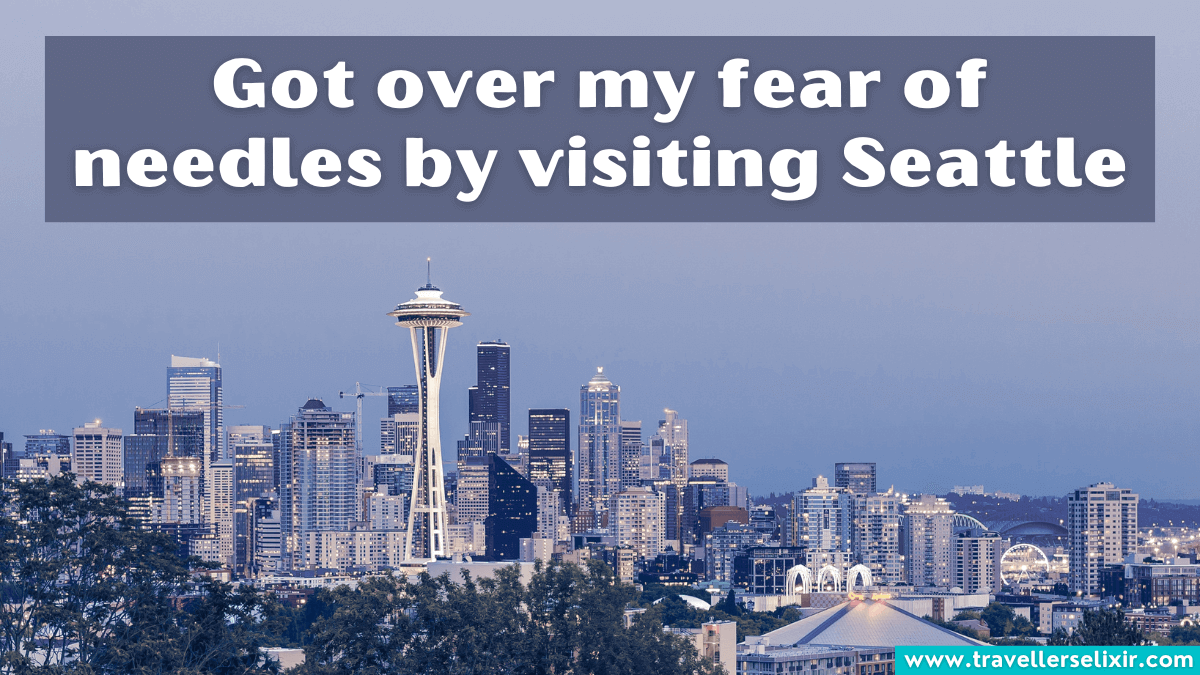 130 Seattle Captions For Instagram - Puns, Quotes & Short Captions