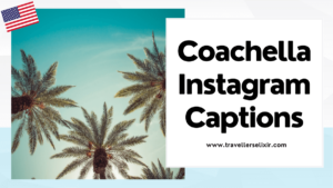 120 Coachella Captions For Instagram - Puns, Quotes & Short Captions