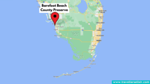 Shelling in Key West & The Florida Keys - Where To Go Shelling