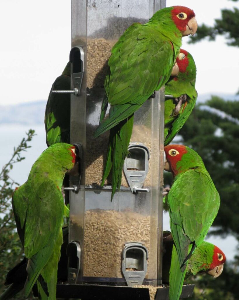 10 Surprising Things You DIDN'T KNOW About California!