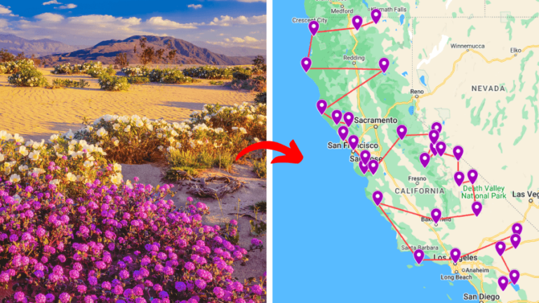31 California Hidden Gems Only LOCALS Know About 😱