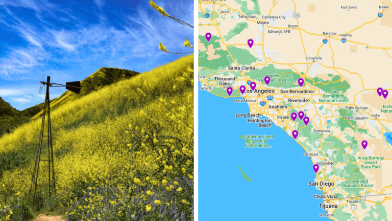 15 Scenic Hikes In SoCal That ANYONE Can Do