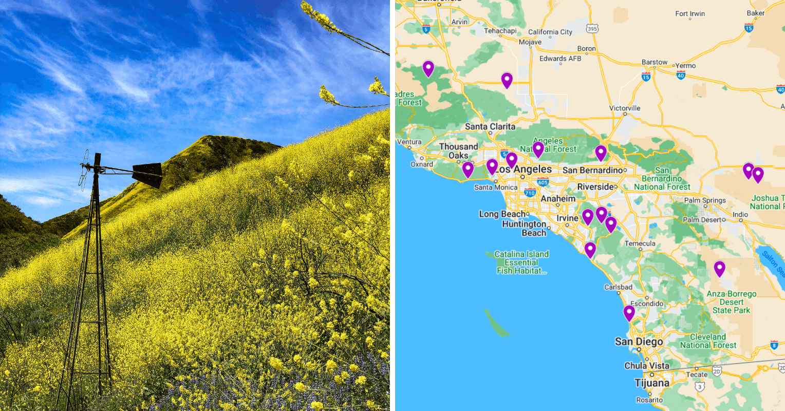 15 Scenic Hikes In SoCal That ANYONE Can Do