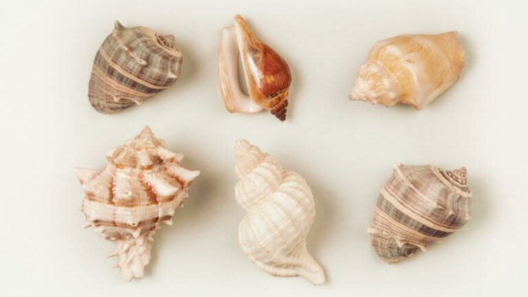 16 Best Beaches In California For Beachcombing