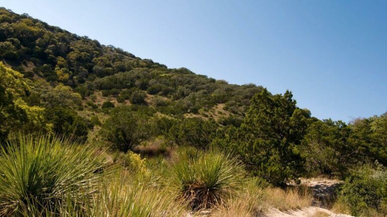 14 Enchanting Small Towns In Texas That Will Steal Your Heart
