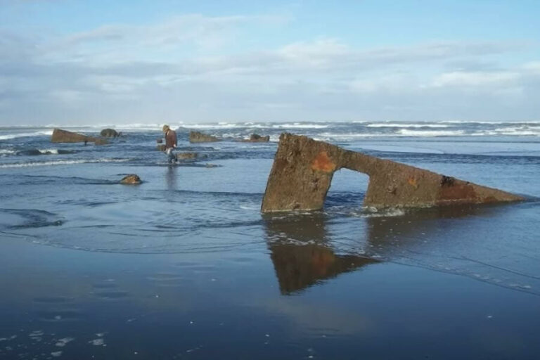11 Fascinating Shipwrecks In California That You Can Still See Today