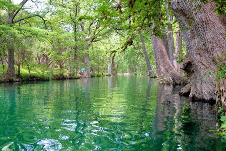 12 Beautiful Natural Springs In Texas That You Can Swim In