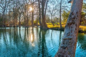 12 Beautiful Natural Springs In Texas That You Can Swim In