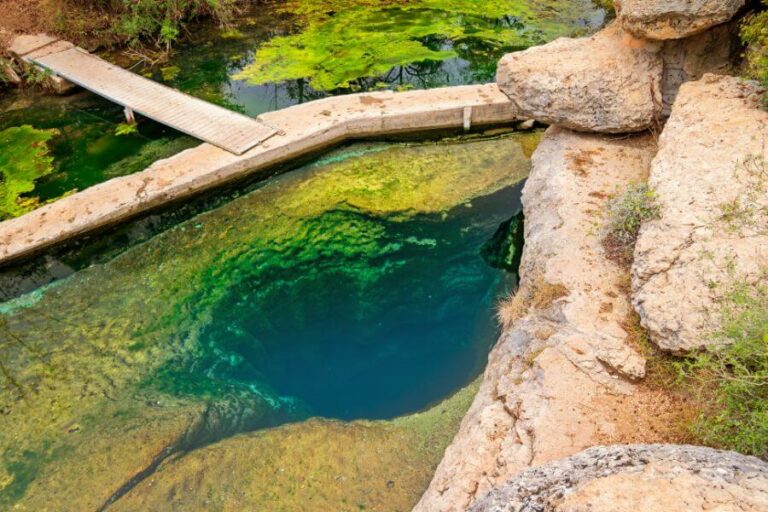12 Beautiful Natural Springs In Texas That You Can Swim In