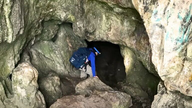 Texas - Traveller's Elixir