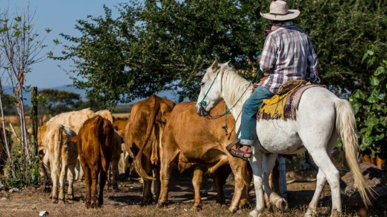 The ULTIMATE Cowboy Road Trip Across Texas