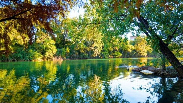 12 Beautiful Natural Springs In Texas That You Can Swim In