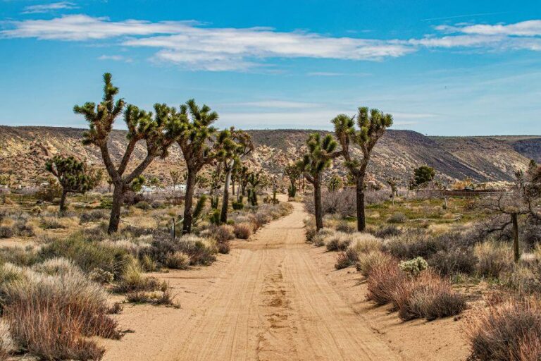 17 Prettiest Small Towns In California That Are Too Beautiful To Ignore