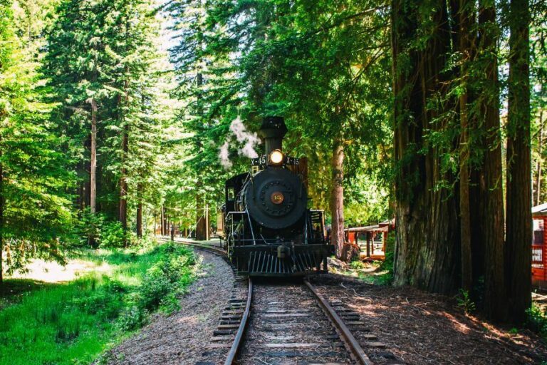 10 Unique Redwood Experiences In California That You’ll NEVER Forget