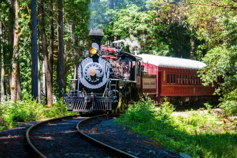10 Unique Redwood Experiences In California That You’ll NEVER Forget
