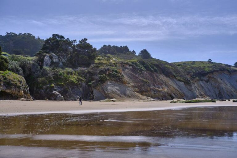 Explore The Surreal Beach In California Where Rocks Look Like Bowling ...