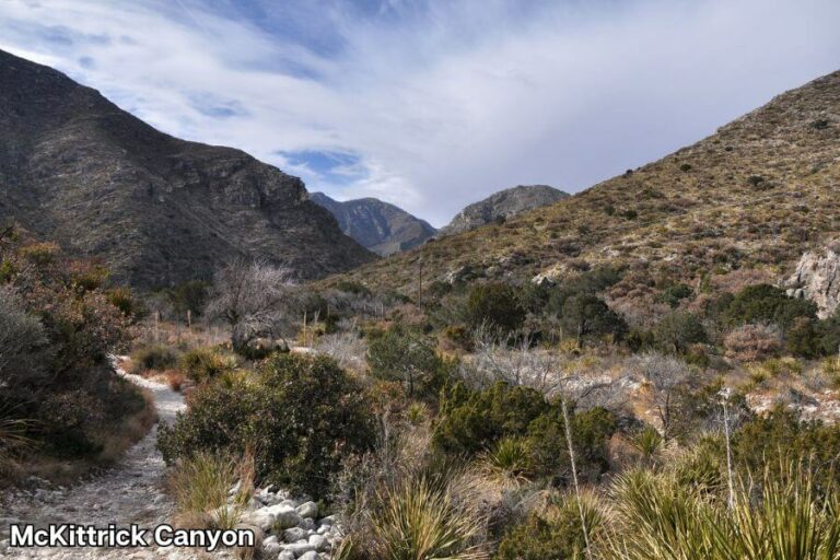 10 Scenic Canyons In Texas You Can Actually Hike Through