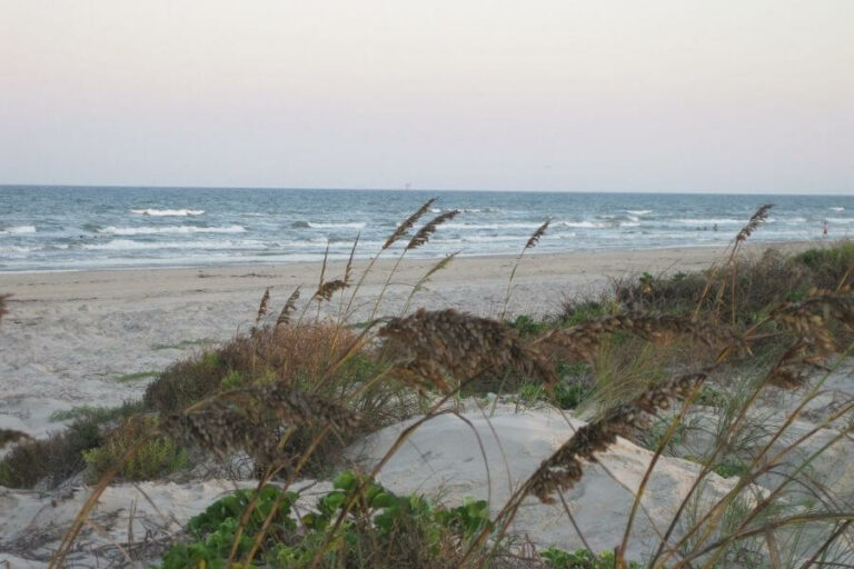 Top 10 Best Beaches In Texas For Beachcombing