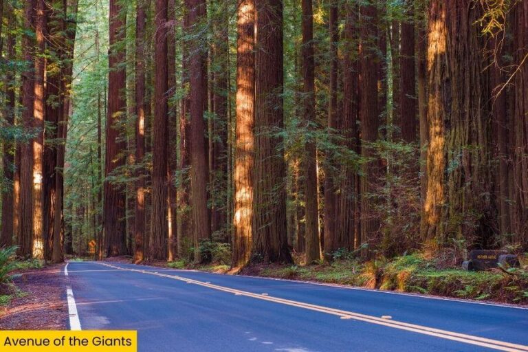 23 Natural Wonders In The USA You Have To See At Least Once In Your Life