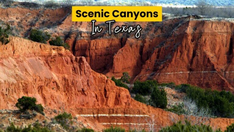 10 Scenic Canyons In Texas You Can Actually Hike Through