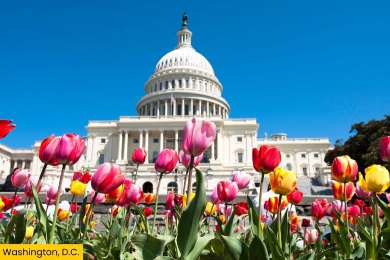 The 28 Most Beautiful Cities In The U.S. To Visit In Your Lifetime