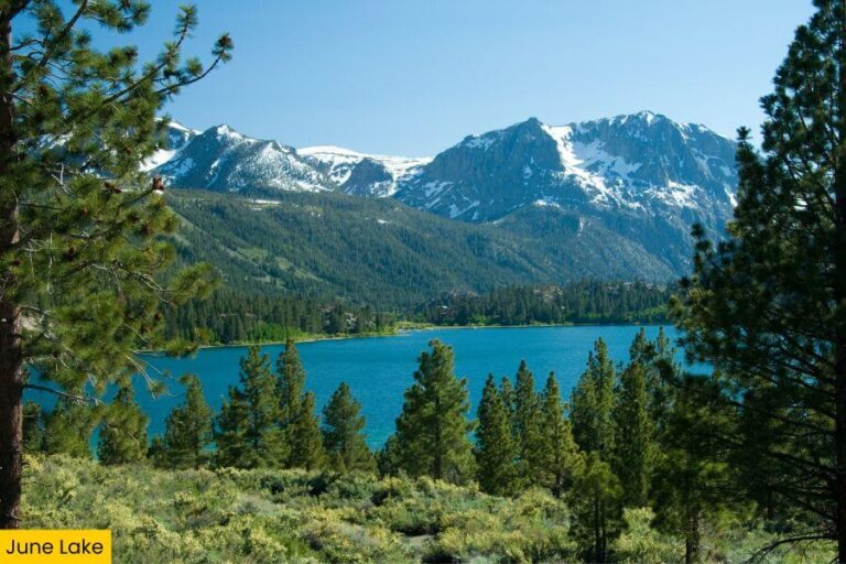 Discover the Jaw-Dropping Scenic Road Trip Everyone's Missing in California