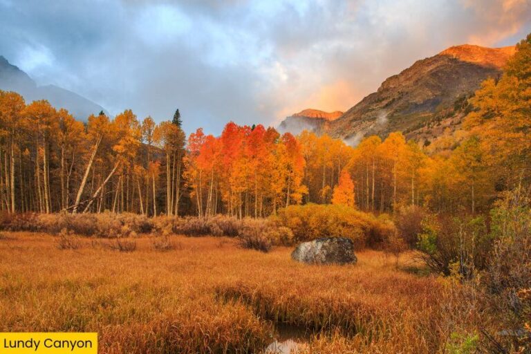 These 15 Fall Foliage Spots In California Are Better Than New England
