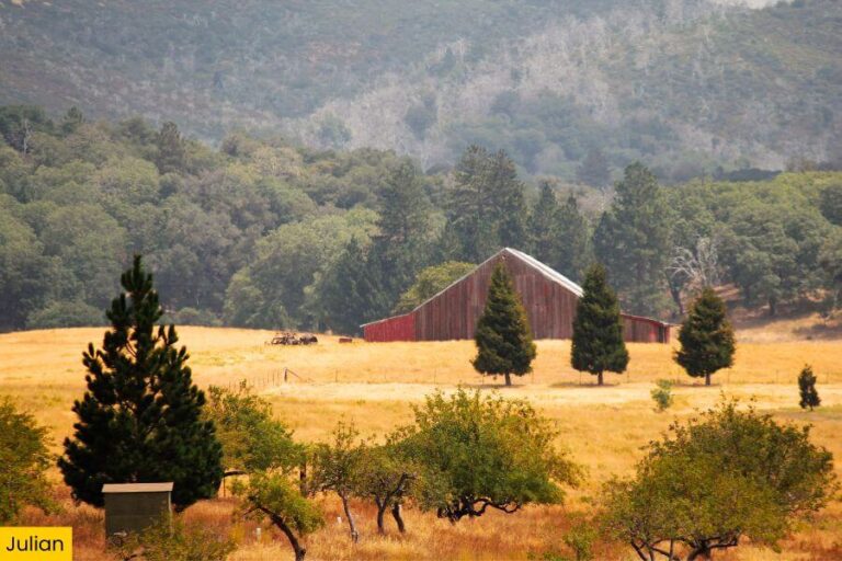 These 15 Fall Foliage Spots In California Are Better Than New England