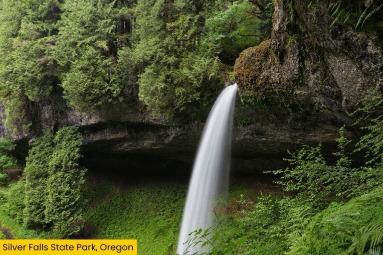 The 22 Most Unique State Parks in the U.S. That Will Leave Your Jaw ...