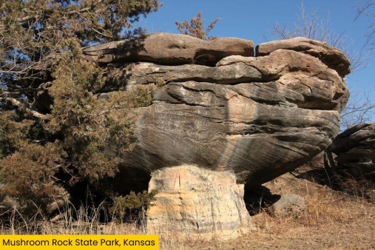 The 22 Most Unique State Parks in the U.S. That Will Leave Your Jaw ...