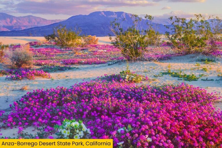 The 22 Most Unique State Parks in the U.S. That Will Leave Your Jaw ...