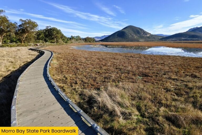 14 Incredibly Stunning California Boardwalks That Will Take Your Breath ...