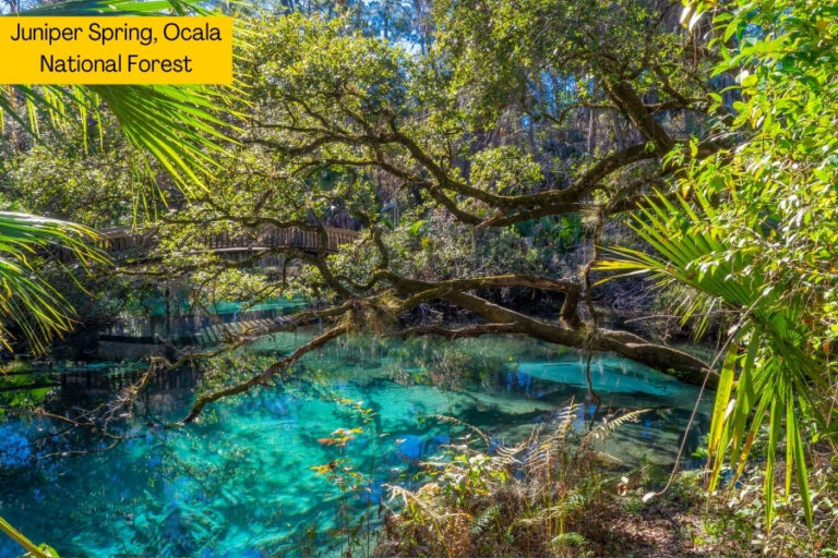15 Breathtaking Natural Wonders In Florida You NEED To See For Yourself!