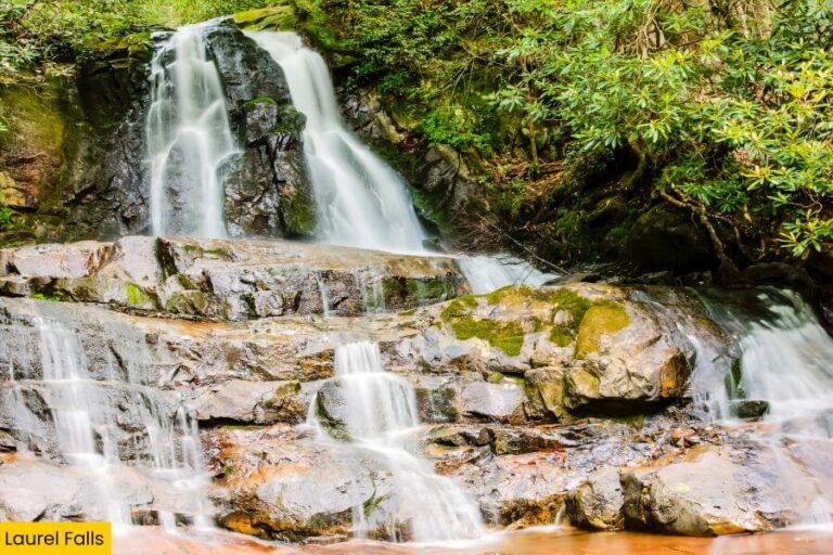 The Ultimate Tennessee Bucket List: 40 Things to Do in Tennessee Before ...