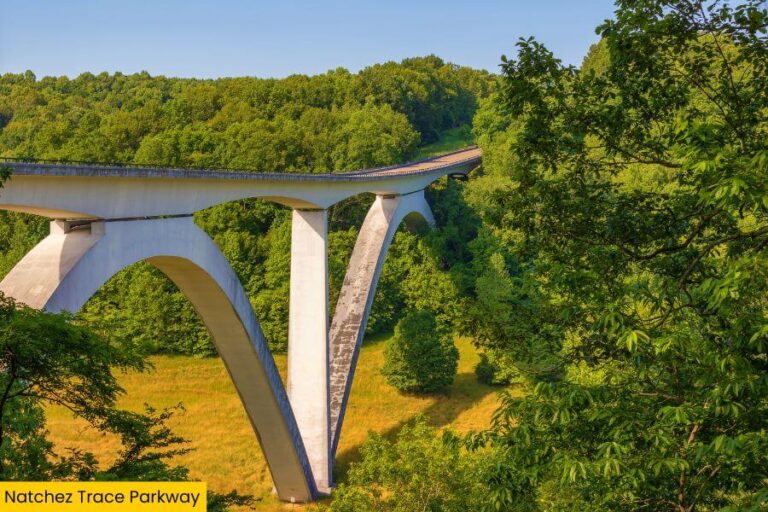 The Ultimate Tennessee Bucket List: 40 Things to Do in Tennessee Before ...