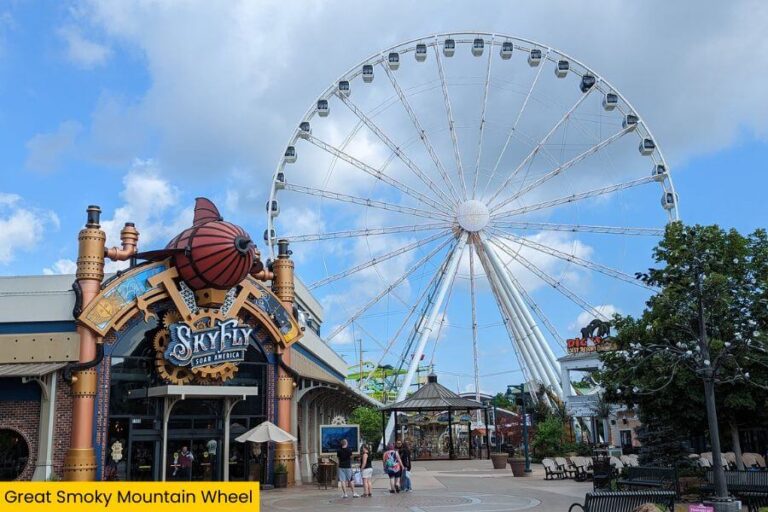 The Ultimate Tennessee Bucket List: 40 Things to Do in Tennessee Before ...