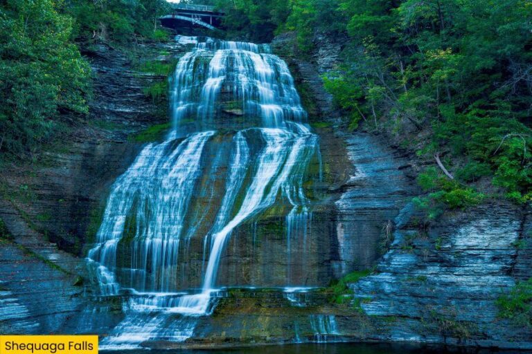 The Ultimate Waterfall Hopping Road Trip Through the Finger Lakes