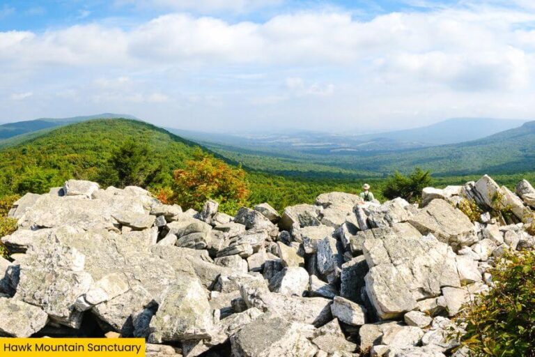 13 Natural Wonders In Pennsylvania You Need To See Before You Die
