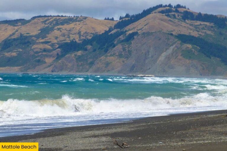 The Ultimate Lost Coast Road Trip Itinerary - California’s Untouched ...