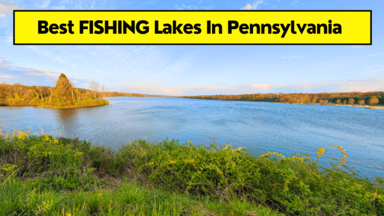 REVEALED: 9 Best FISHING Lakes In Pennsylvania That You CANNOT Miss!