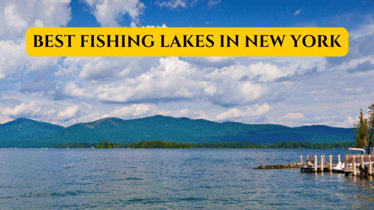 REVEALED: 12 Best FISHING Lakes In New York That You CANNOT Miss! 🐟