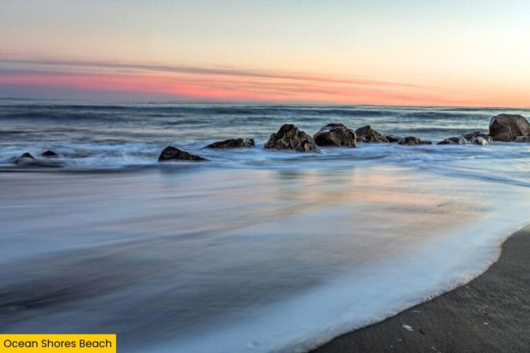 The Ultimate Washington Pacific Coast Beaches Road Trip