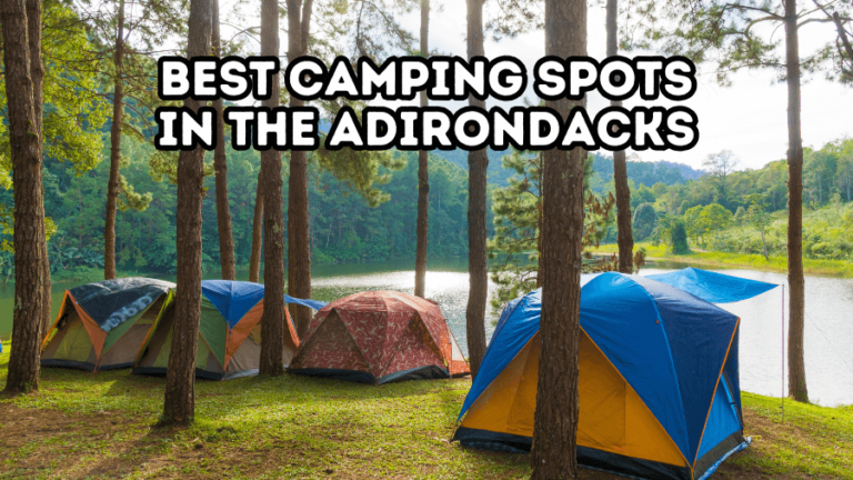 New York - Traveller's Elixir