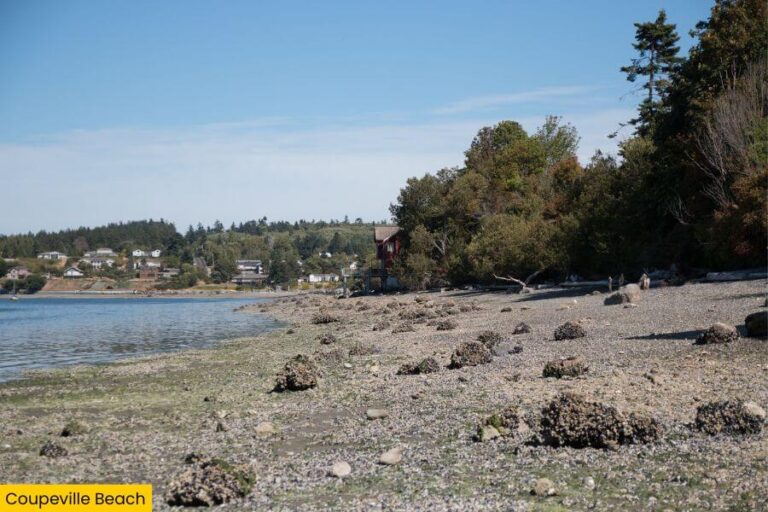 8 Best Washington Beaches For Beachcombing